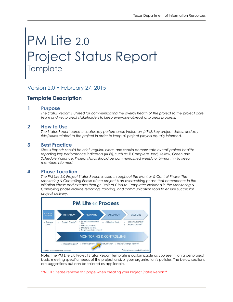 Texas Project Status Report Form - Fill Out, Sign Online and Download ...