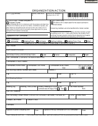 CAP Form 27 Download Fillable PDF or Fill Online Organization Action ...