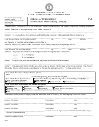 Form PLLC-02 Download Fillable PDF or Fill Online Articles of ...