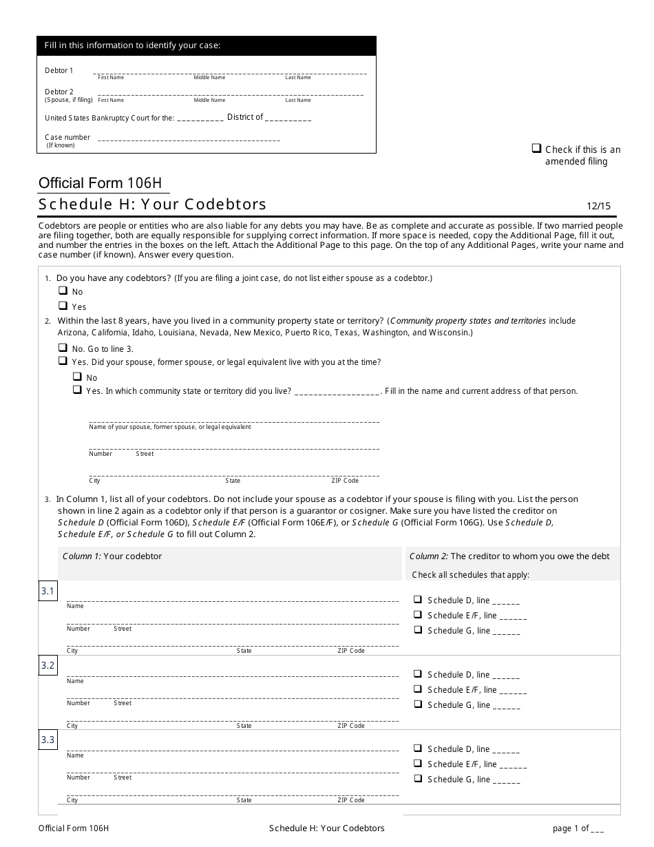 Official Form 106H Schedule H - Fill Out, Sign Online and Download ...