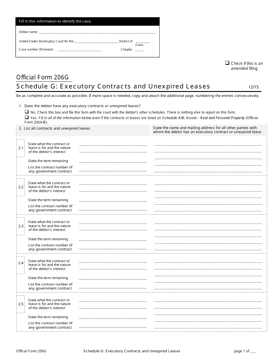 Official Form 206G Schedule G - Fill Out, Sign Online and Download ...