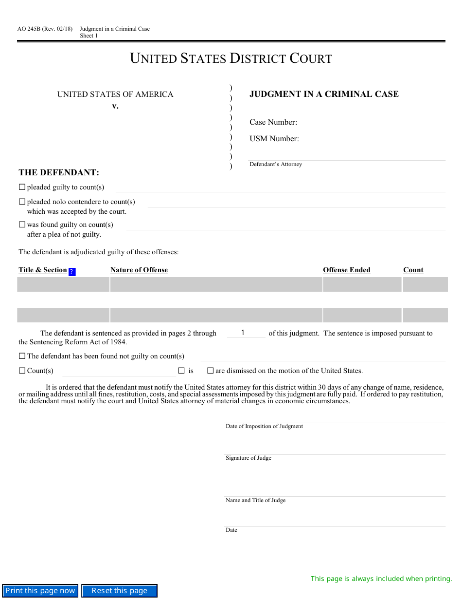 Form AO245B - Fill Out, Sign Online and Download Fillable PDF ...