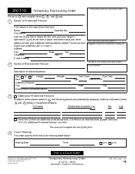 Form DV-110 - Fill Out, Sign Online and Download Fillable PDF ...