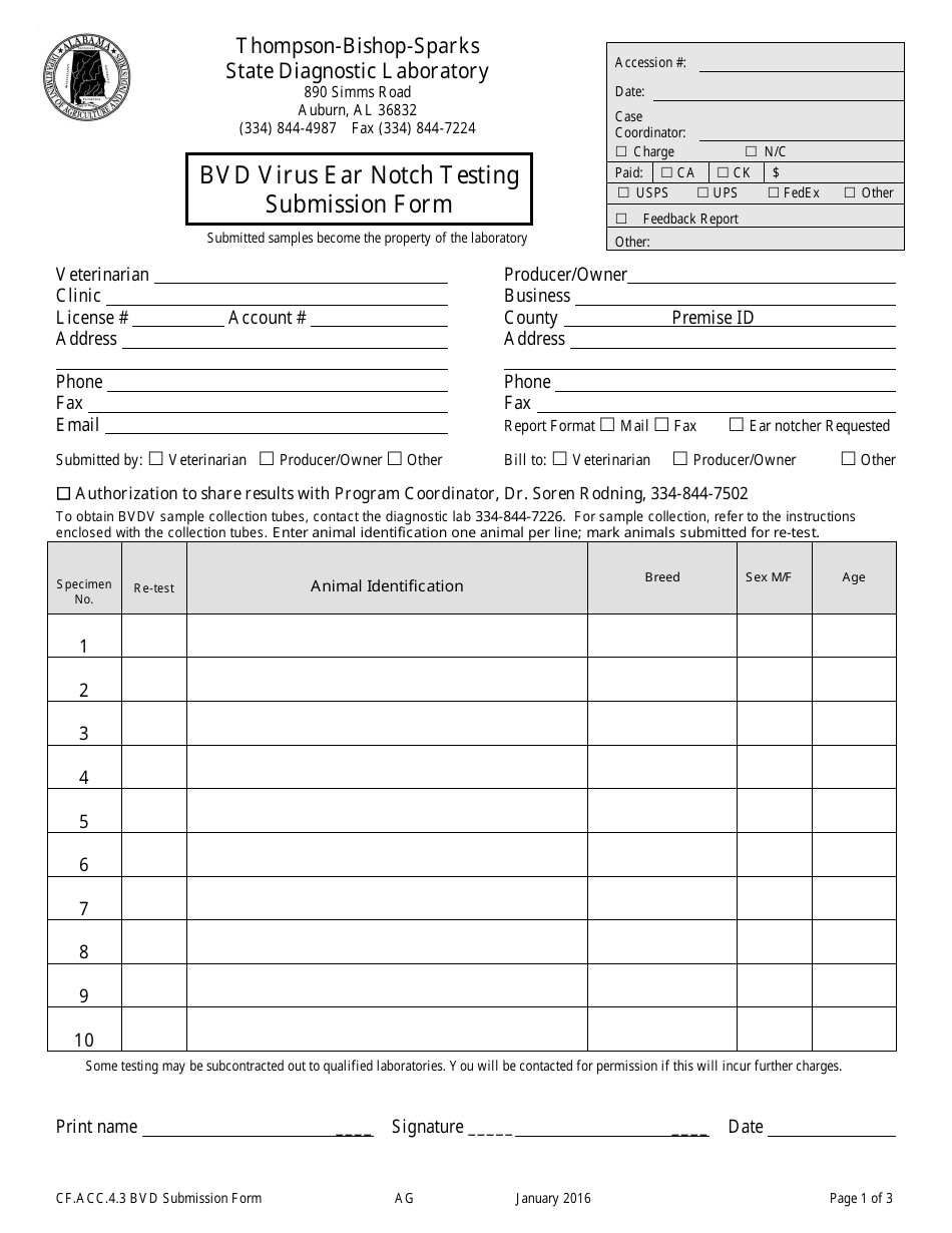 Form CF.ACC.4.3 - Fill Out, Sign Online and Download Fillable PDF ...