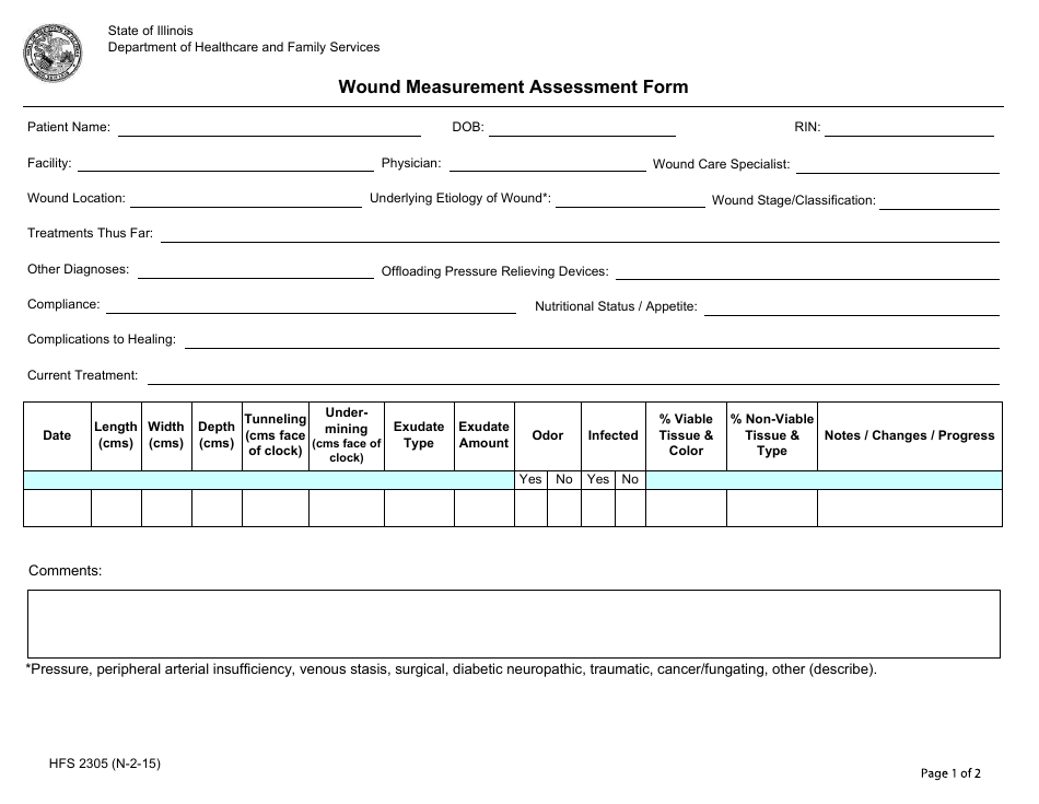 Form HFS2305 - Fill Out, Sign Online and Download Fillable PDF ...