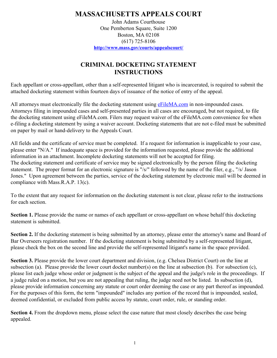 Massachusetts Criminal Docketing Statement Form - Fill Out, Sign Online ...