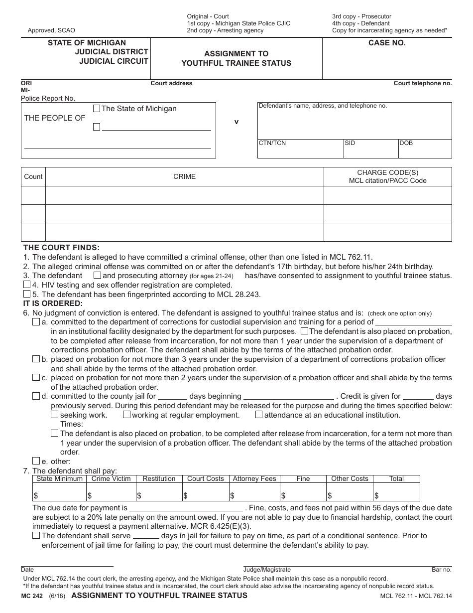 Form MC242 - Fill Out, Sign Online and Download Fillable PDF, Michigan ...