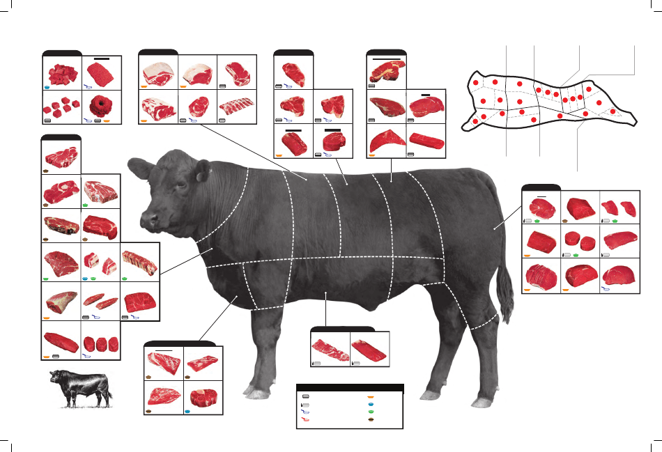 Angus Beef Chart Download Printable PDF | Templateroller
