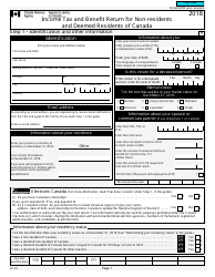 Form 5013-R Download Fillable PDF or Fill Online Income Tax and Benefit ...