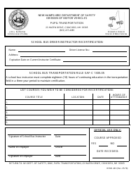 Form DSMV463 Download Fillable PDF or Fill Online School Bus Driver ...