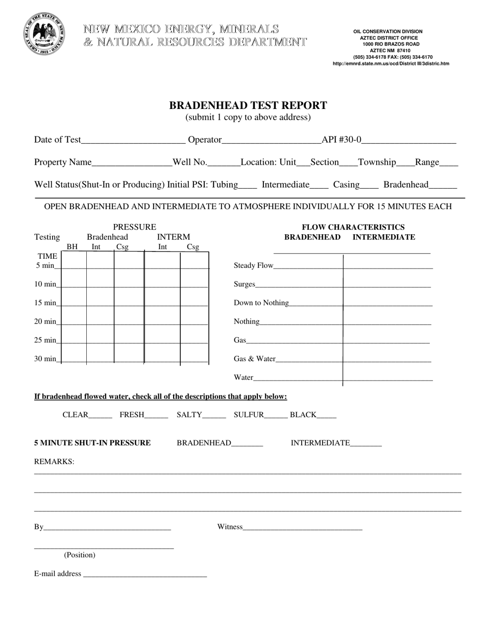 New Mexico Bradenhead Test Report - Fill Out, Sign Online and Download ...