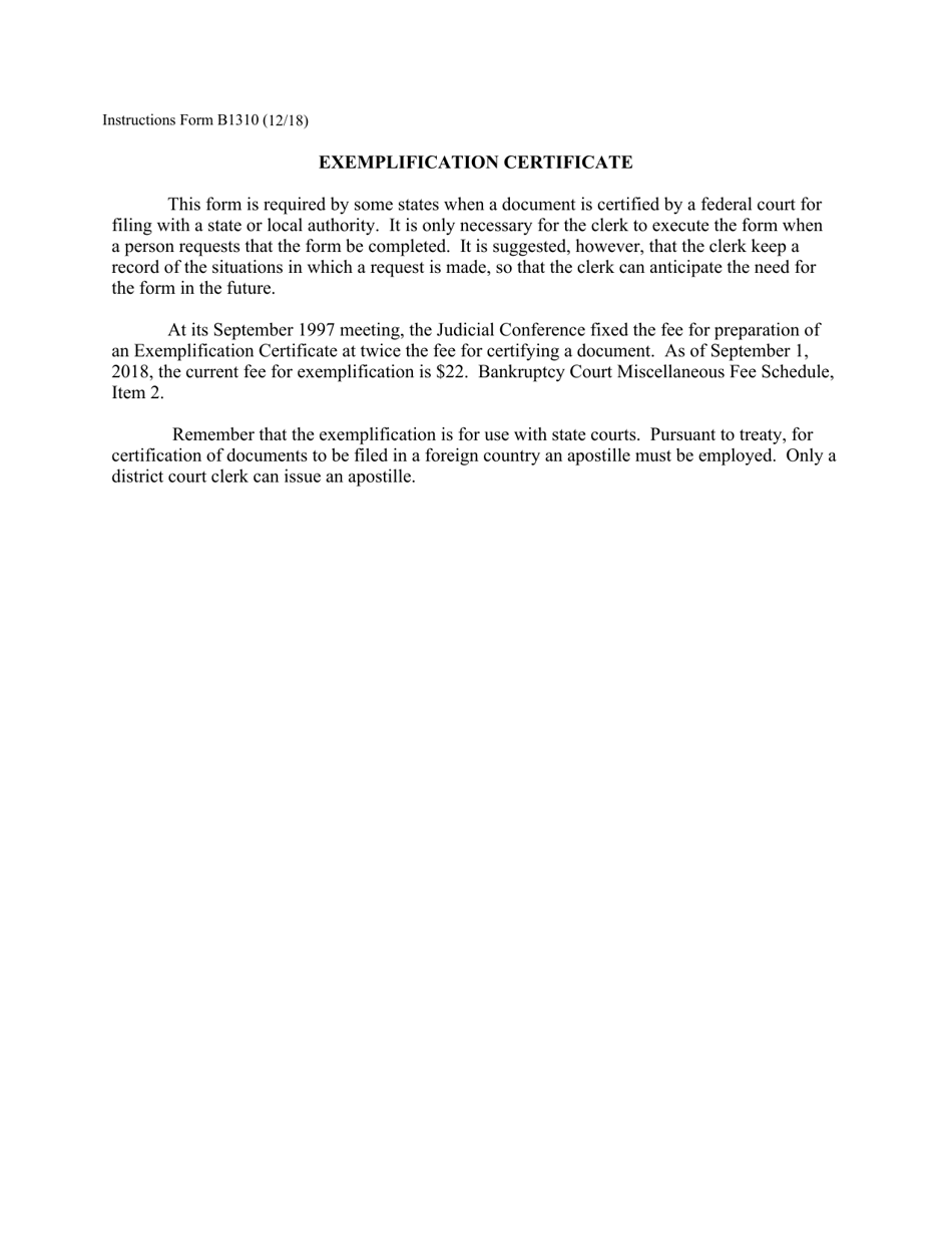 Download Instructions for Form B1310 Exemplification Certificate PDF ...