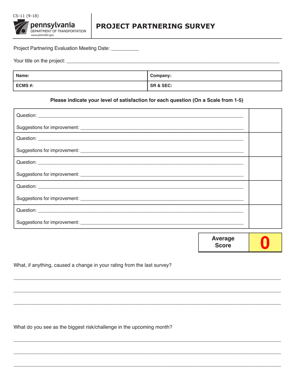 Form CS-11 - Fill Out, Sign Online and Download Fillable PDF ...
