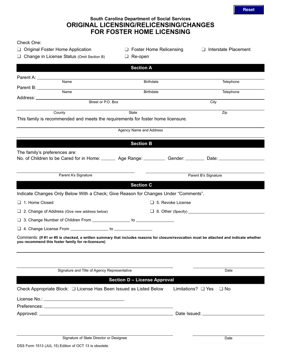 DSS Form 1513 - Fill Out, Sign Online and Download Fillable PDF, South ...