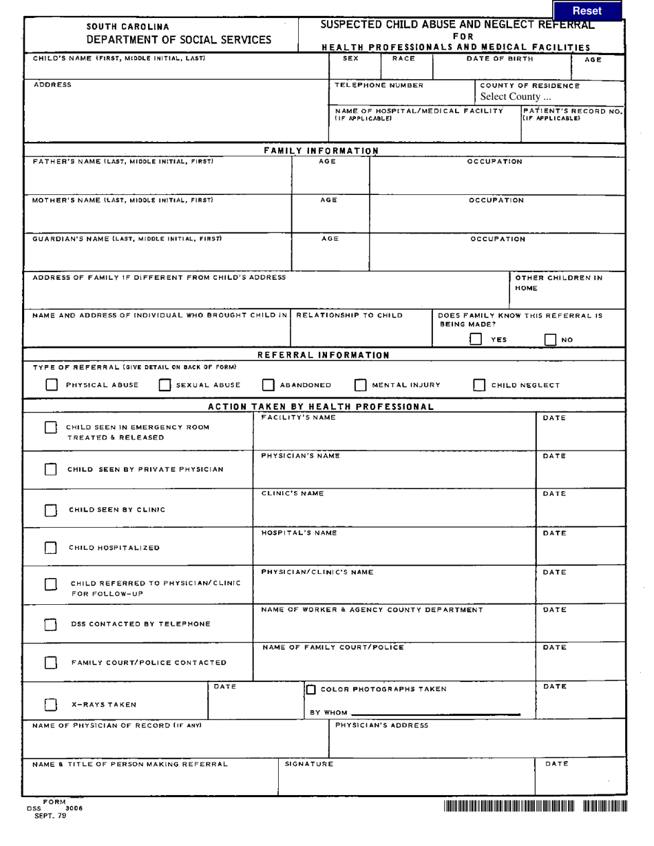 DSS Form 3006 - Fill Out, Sign Online and Download Fillable PDF, South ...