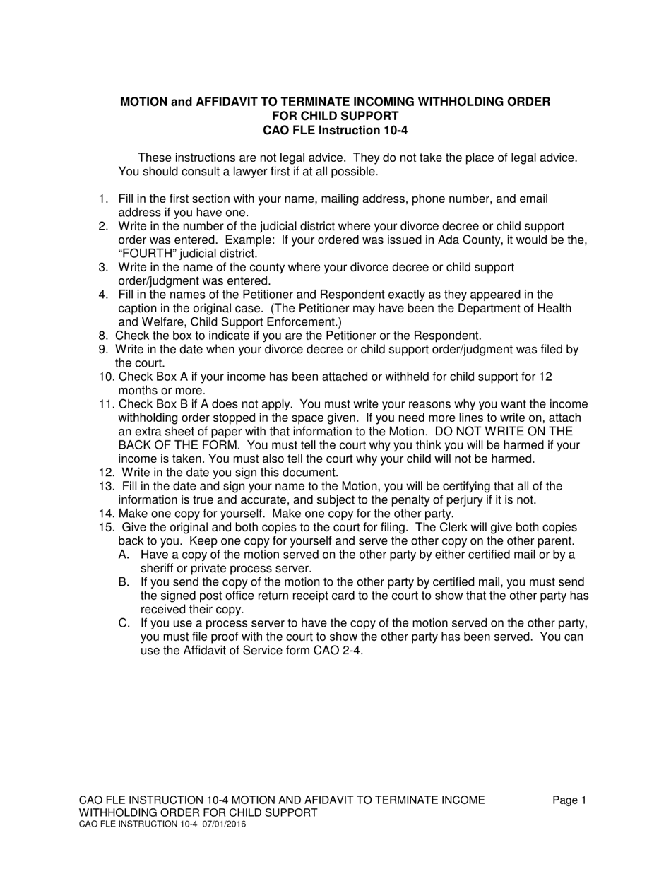 Download Instructions for Form CAO FLE10-4 Motion and Affidavit to ...