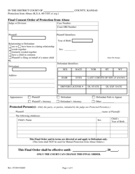 Kansas Final Order of Protection From Abuse Download Fillable PDF ...