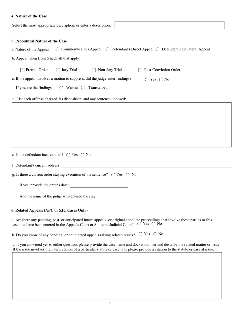Massachusetts Criminal Docketing Statement Fill Out Sign Online And