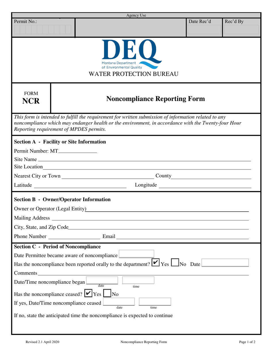 Form NCR Download Fillable PDF or Fill Online Noncompliance Reporting ...