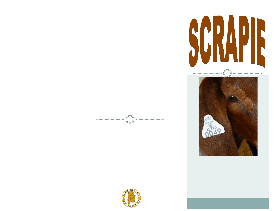 Alabama Flock Id Application/Tag Order/Tattoo Registration Form ...