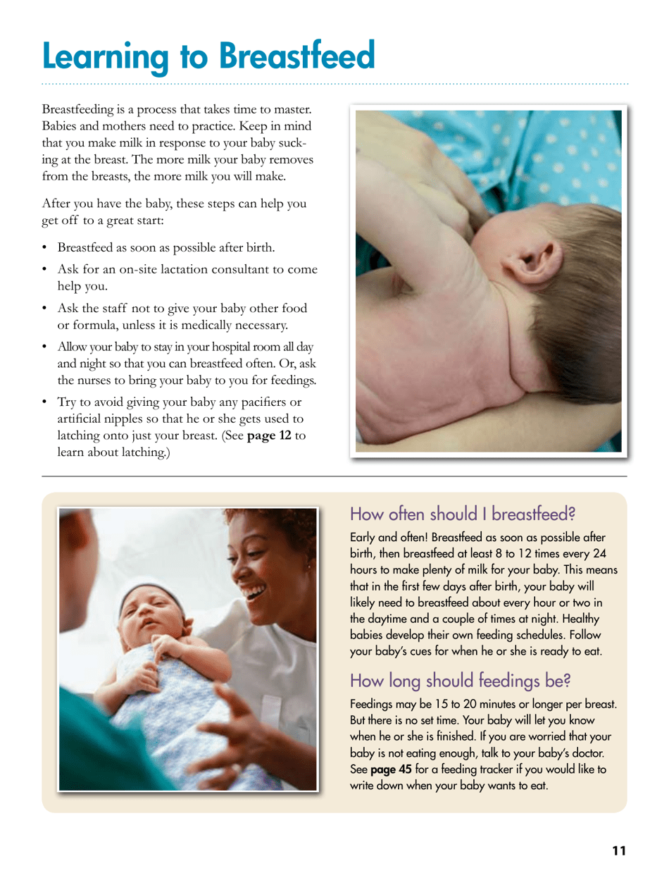 Your Guide to Breastfeeding - Fill Out, Sign Online and Download PDF ...