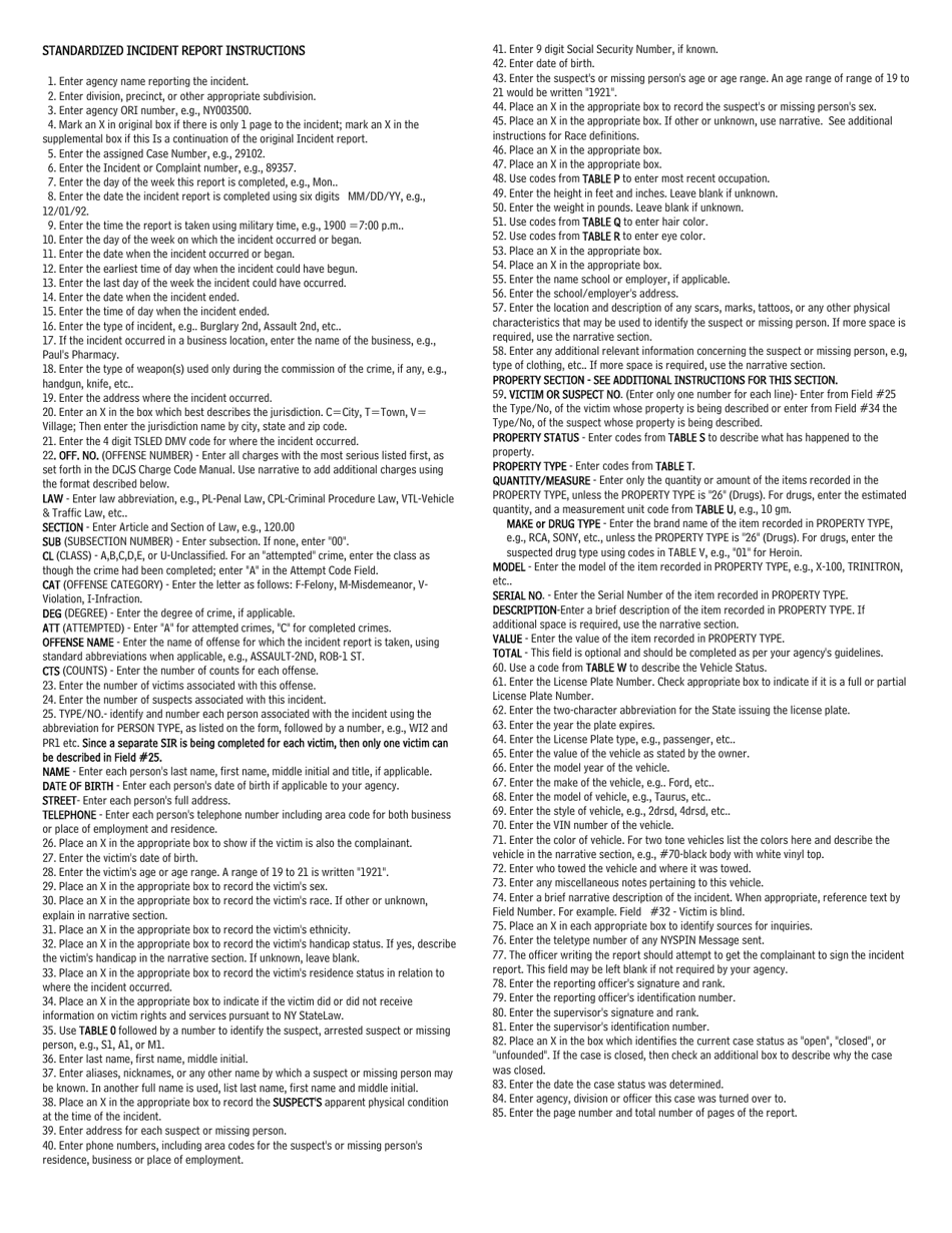 Download Instructions for Form DCJS-3205 Incident Report PDF ...