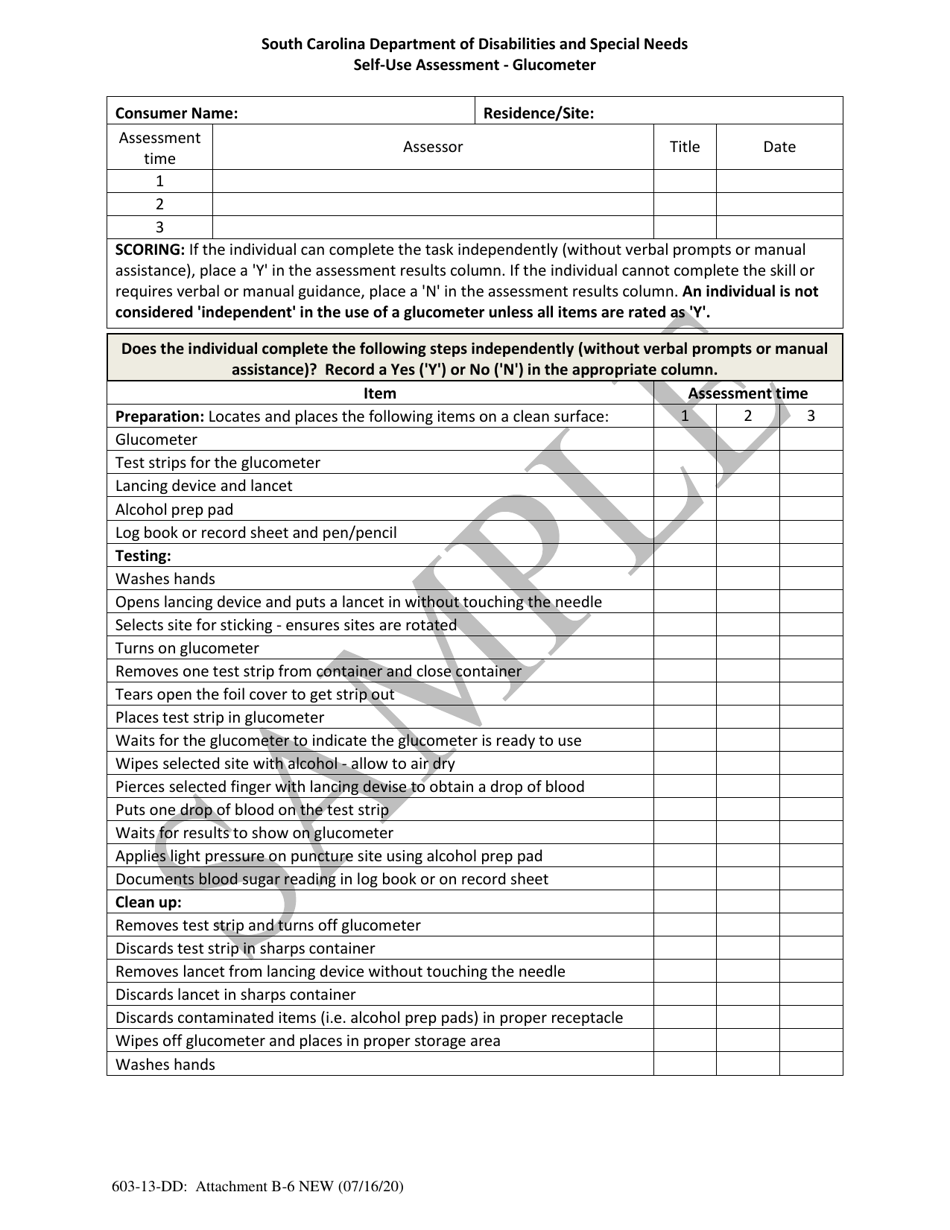 South Carolina Self-use Assessment - Glucometer - Sample - Fill Out ...