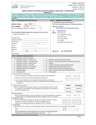 Form EIA-176 Download Printable PDF or Fill Online Annual Report of ...