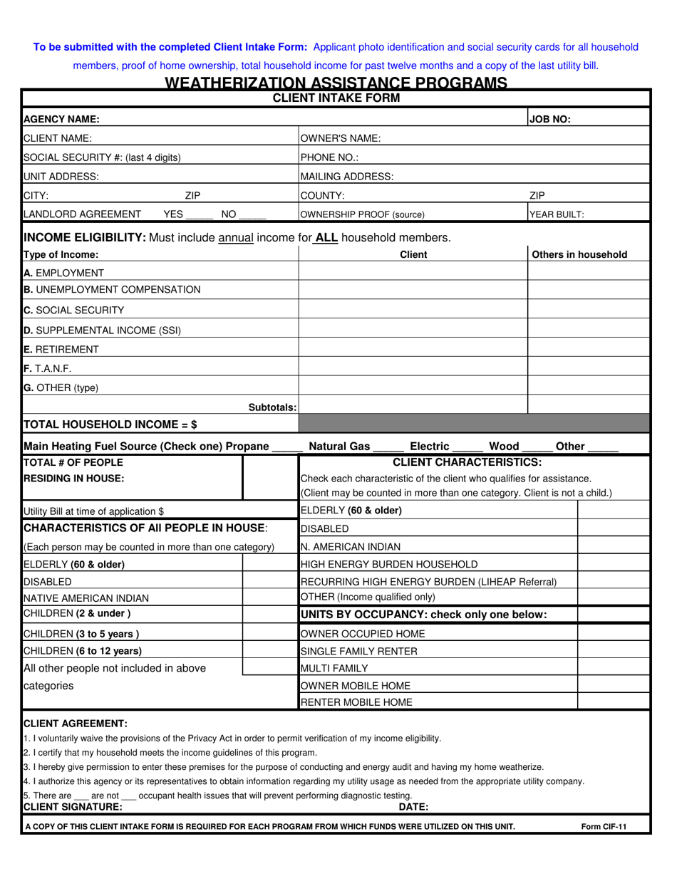 Form CIF-11 - Fill Out, Sign Online and Download Printable PDF, Florida ...