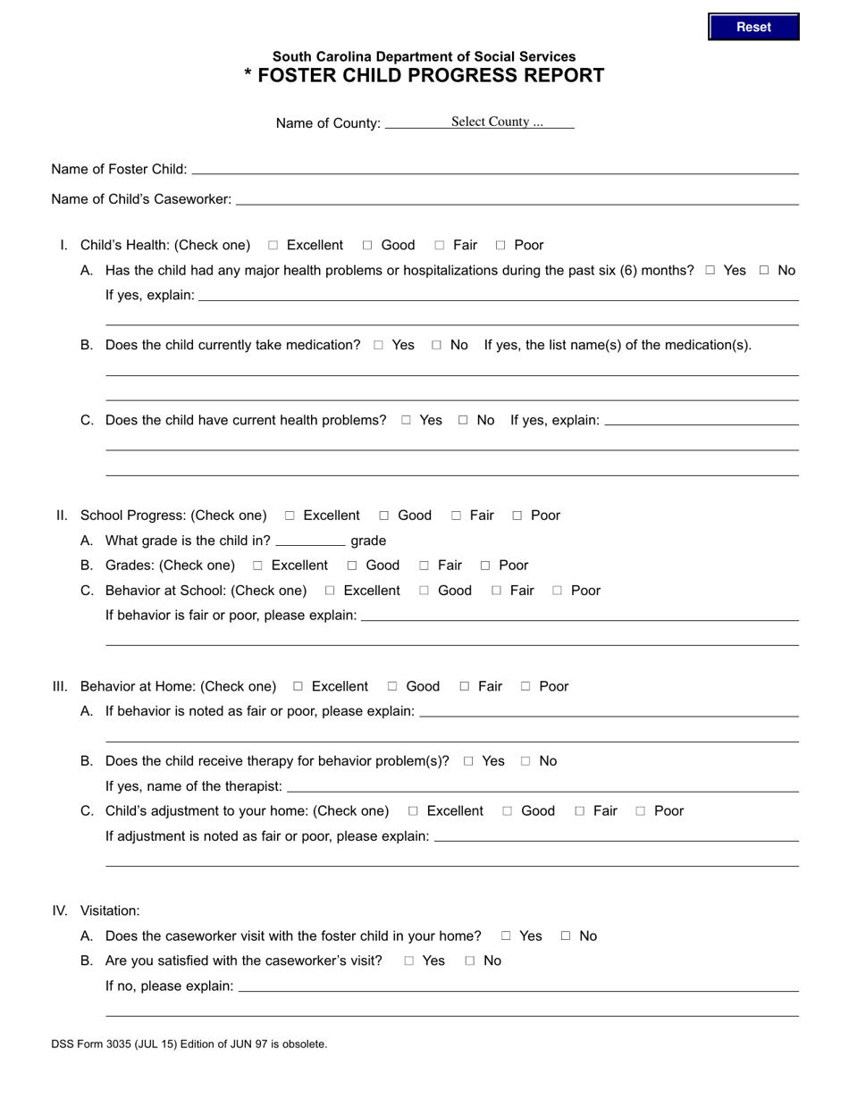 DSS Form 3035 - Fill Out, Sign Online and Download Fillable PDF, South ...