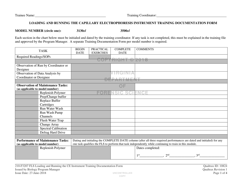 DFS Form 210-F3207 FLS - Fill Out, Sign Online and Download Printable ...