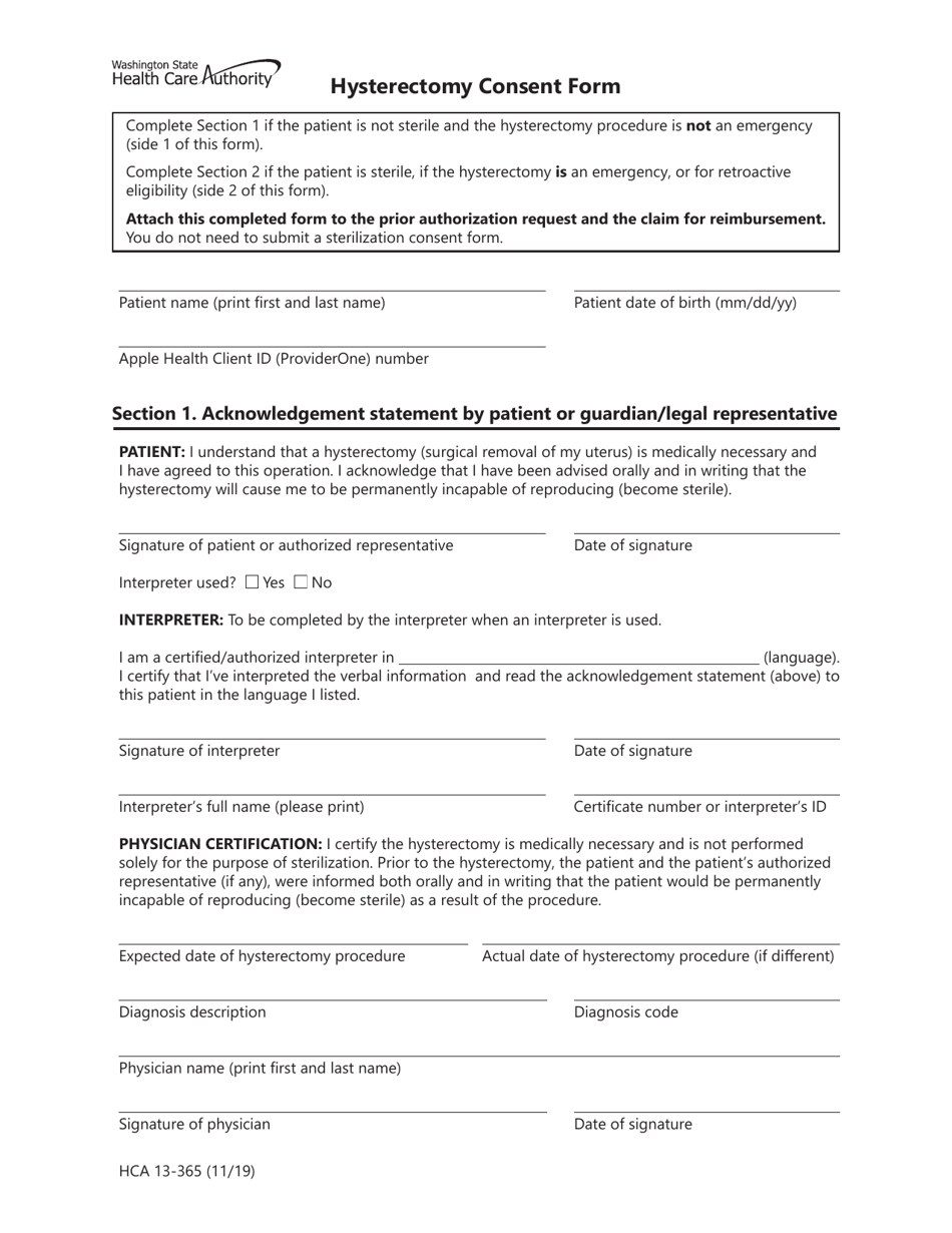 Form HCA13-365 - Fill Out, Sign Online and Download Fillable PDF ...