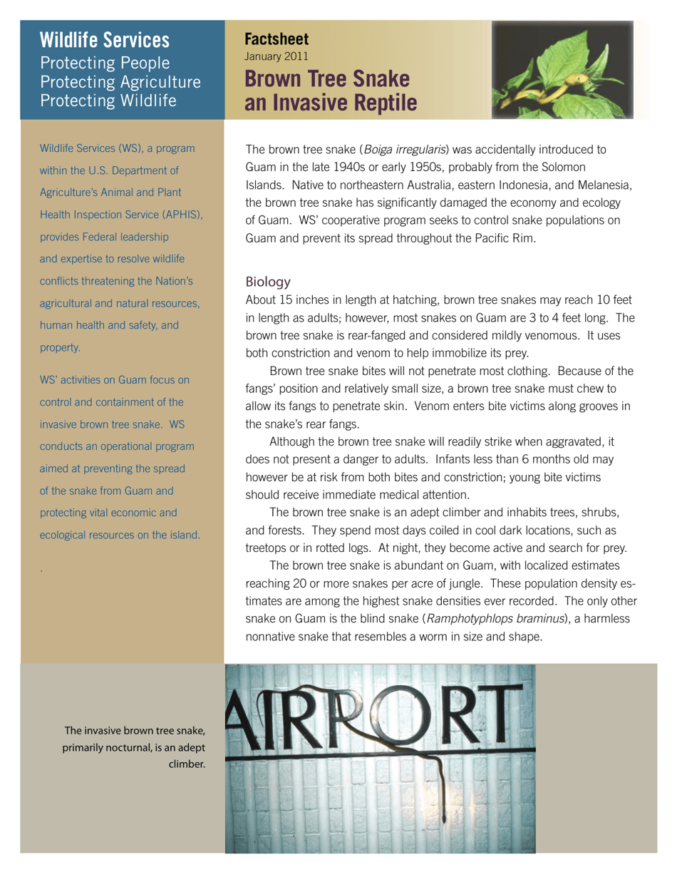 Brown Tree Snake an Invasive Reptile Factsheet - Fill Out, Sign Online ...