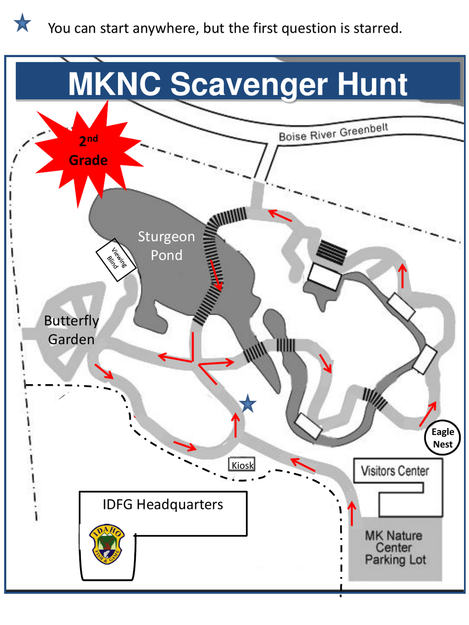 Idaho Mk Nature Center Scavenger Hunt for 2nd Graders - Fill Out, Sign ...