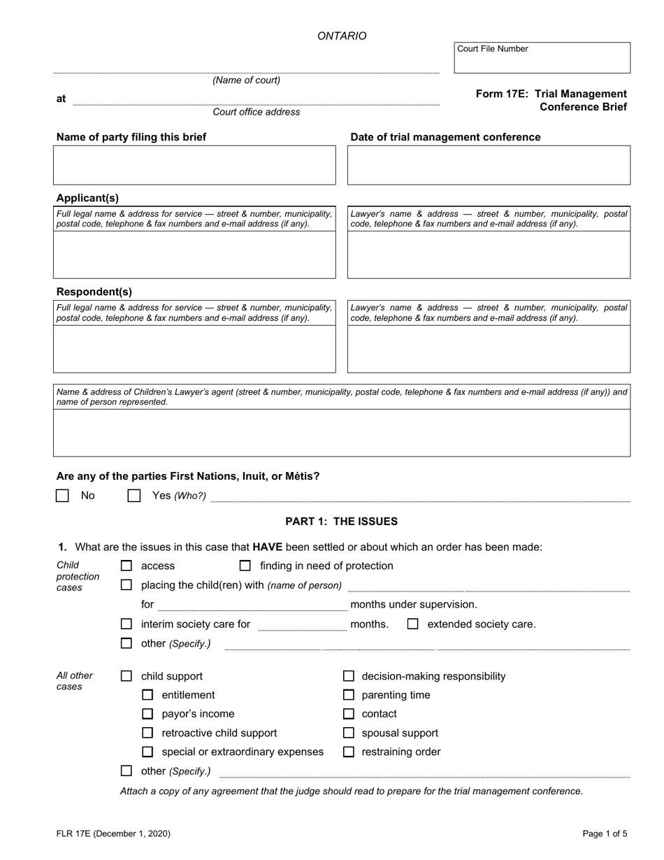 Form 17E - Fill Out, Sign Online and Download Fillable PDF, Ontario Canada | Templateroller