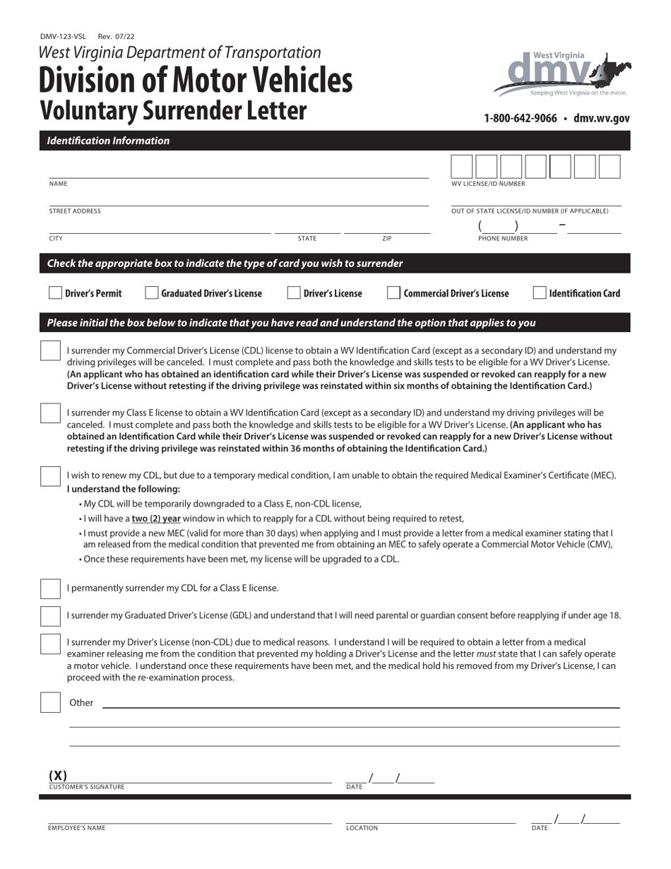 Form DMV-123-VSL - Fill Out, Sign Online and Download Fillable PDF ...