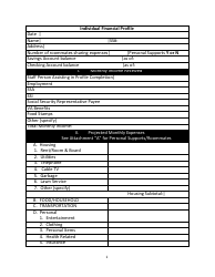 Florida Individual Financial Profile Download Printable PDF ...