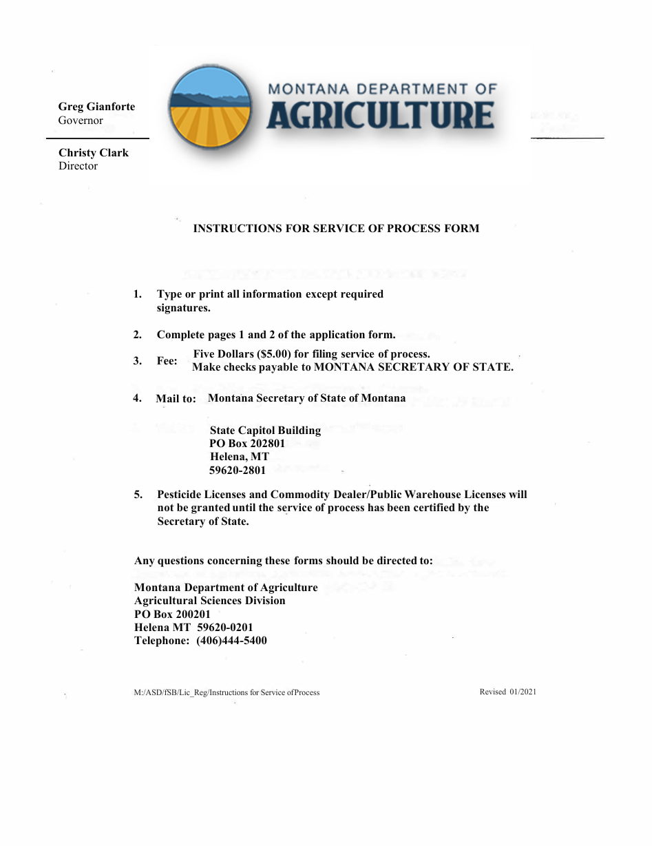 Montana Service of Process Form - Fill Out, Sign Online and Download ...