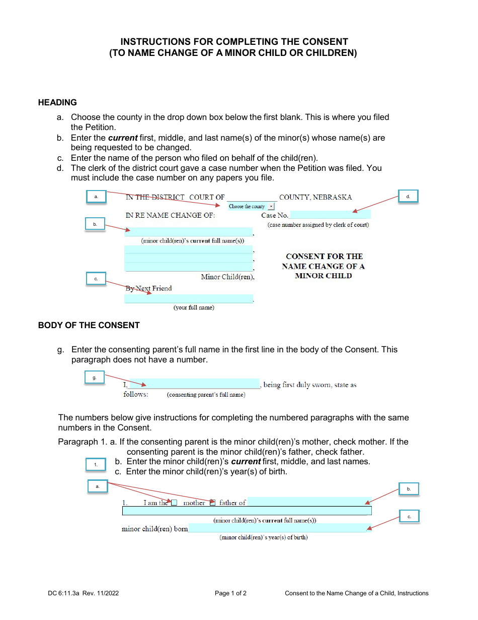 Download Instructions for Form DC6:11.3 Consent for the Name Change of ...