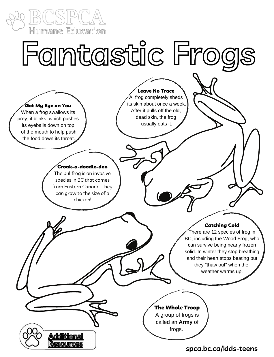 Educational Coloring Sheet - Fantastic Frogs Download Printable PDF ...
