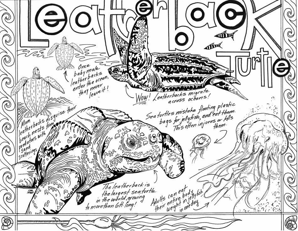 Leather Back Turtle Coloring Page Download Printable PDF | Templateroller