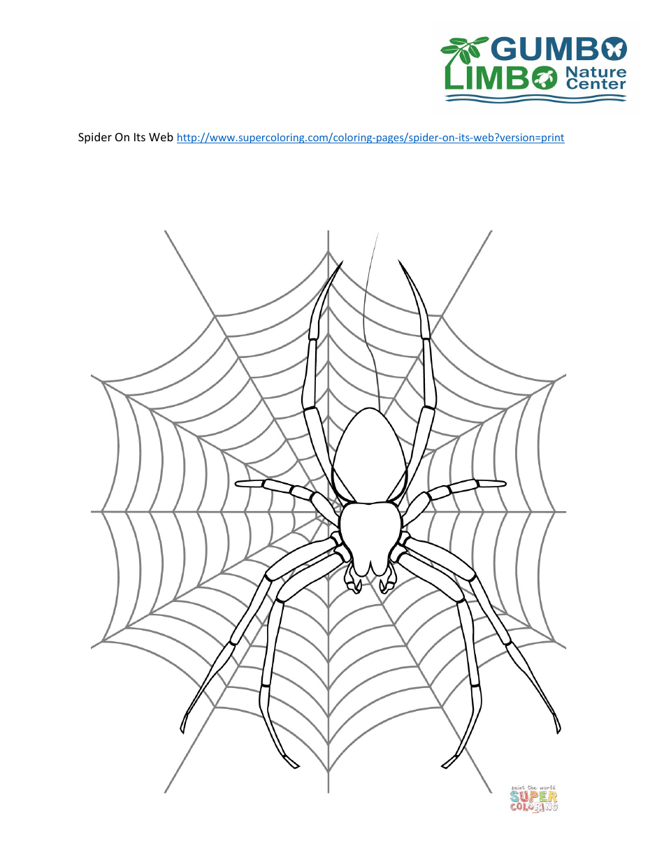 Spider on Its Web Coloring Page Download Printable PDF | Templateroller