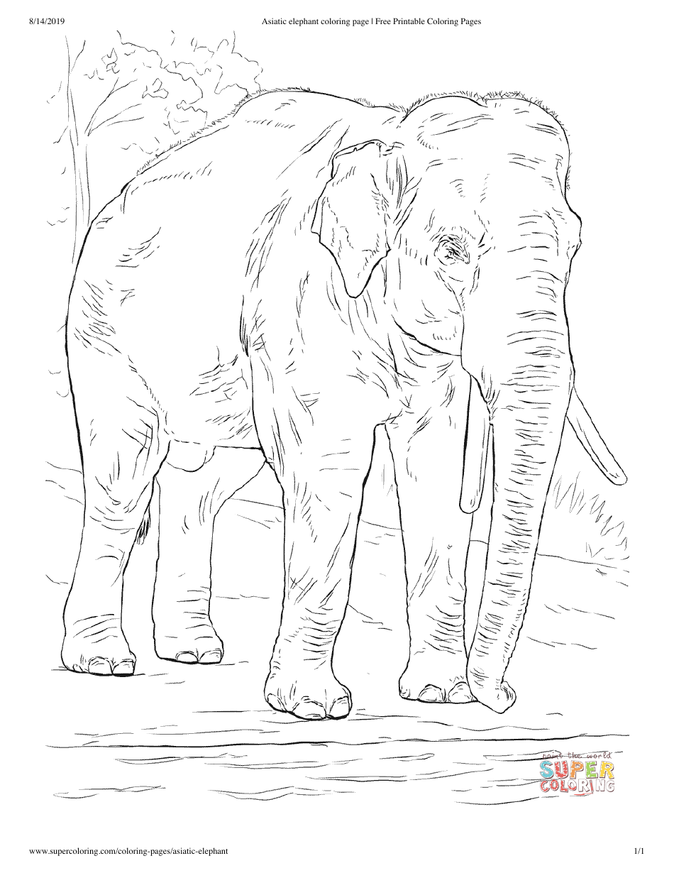Asiatic Elephant Coloring Page Download Printable PDF | Templateroller
