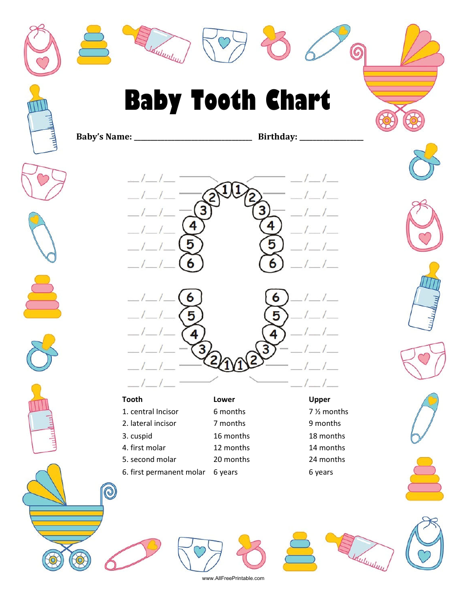 Baby Tooth Chart - Varicolored Download Printable PDF | Templateroller