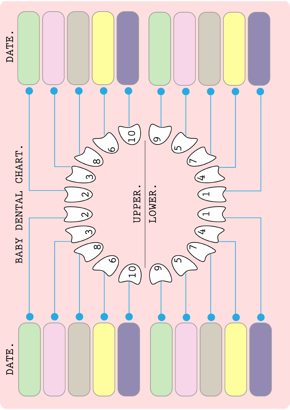 Baby Dental Chart Download Printable PDF | Templateroller