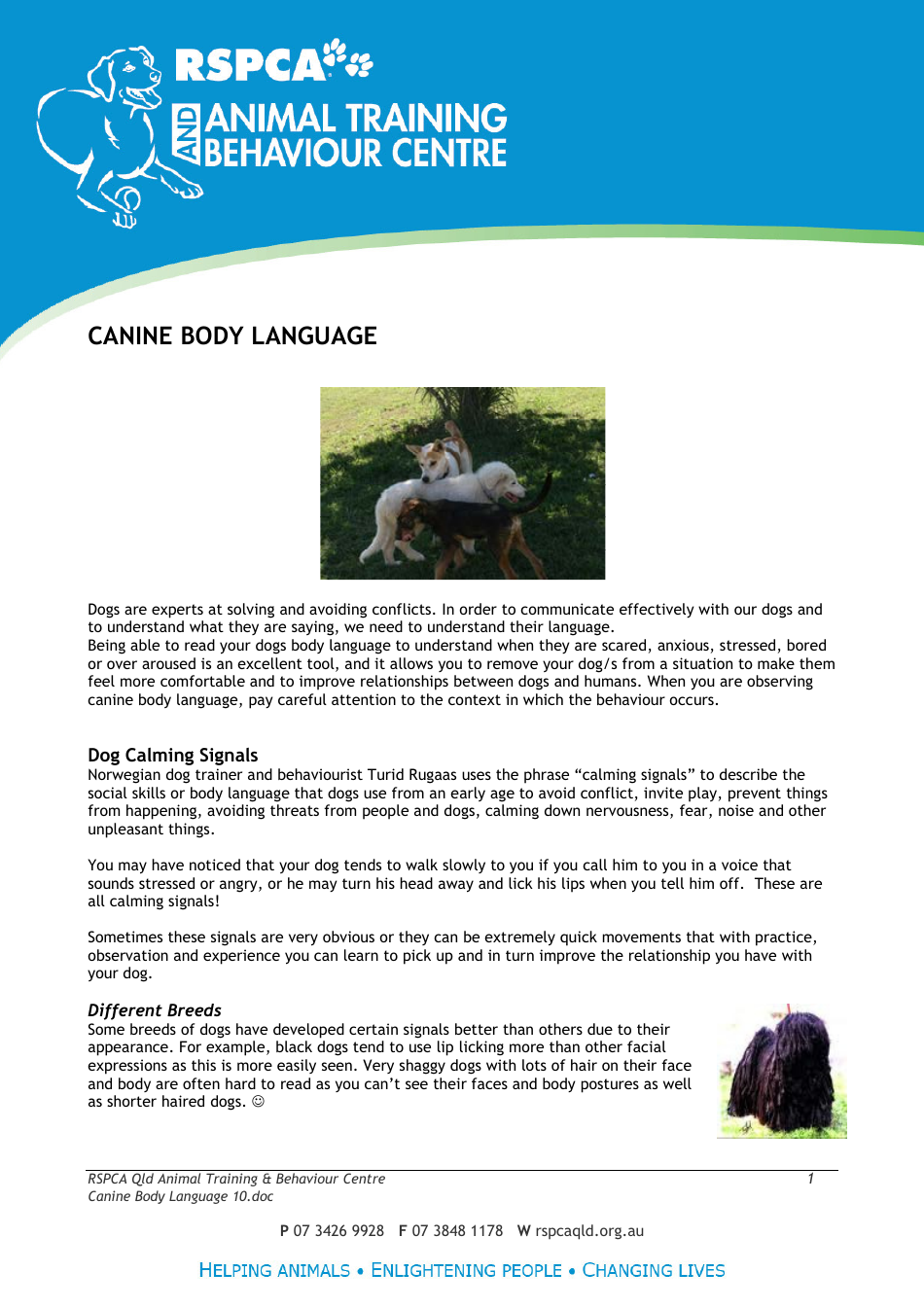Canine Body Language Download Printable PDF | Templateroller