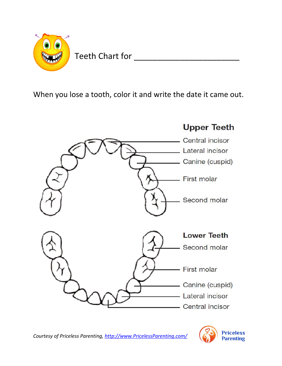 Teeth Chart - Priceless Parenting Download Printable PDF | Templateroller