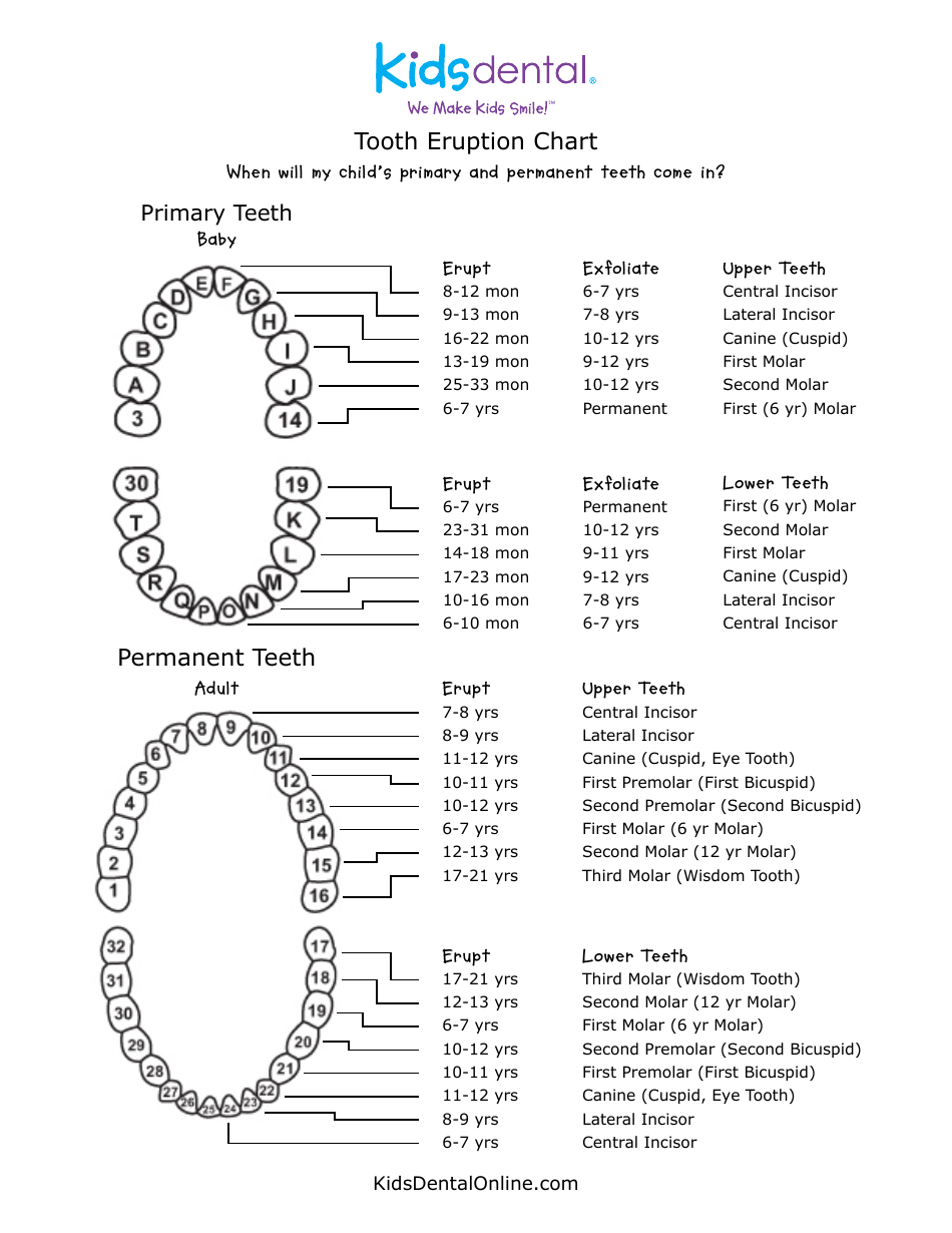 Tooth Eruption Chart - Kids Dental Download Printable PDF | Templateroller