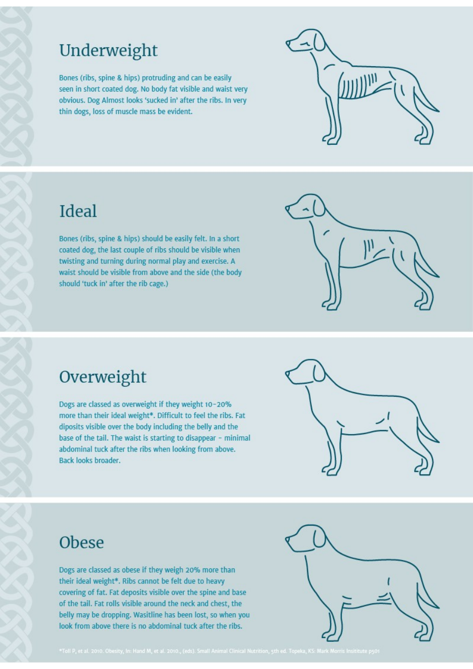Dog Weight Chart From Underweight To Obese Download Printable PDF