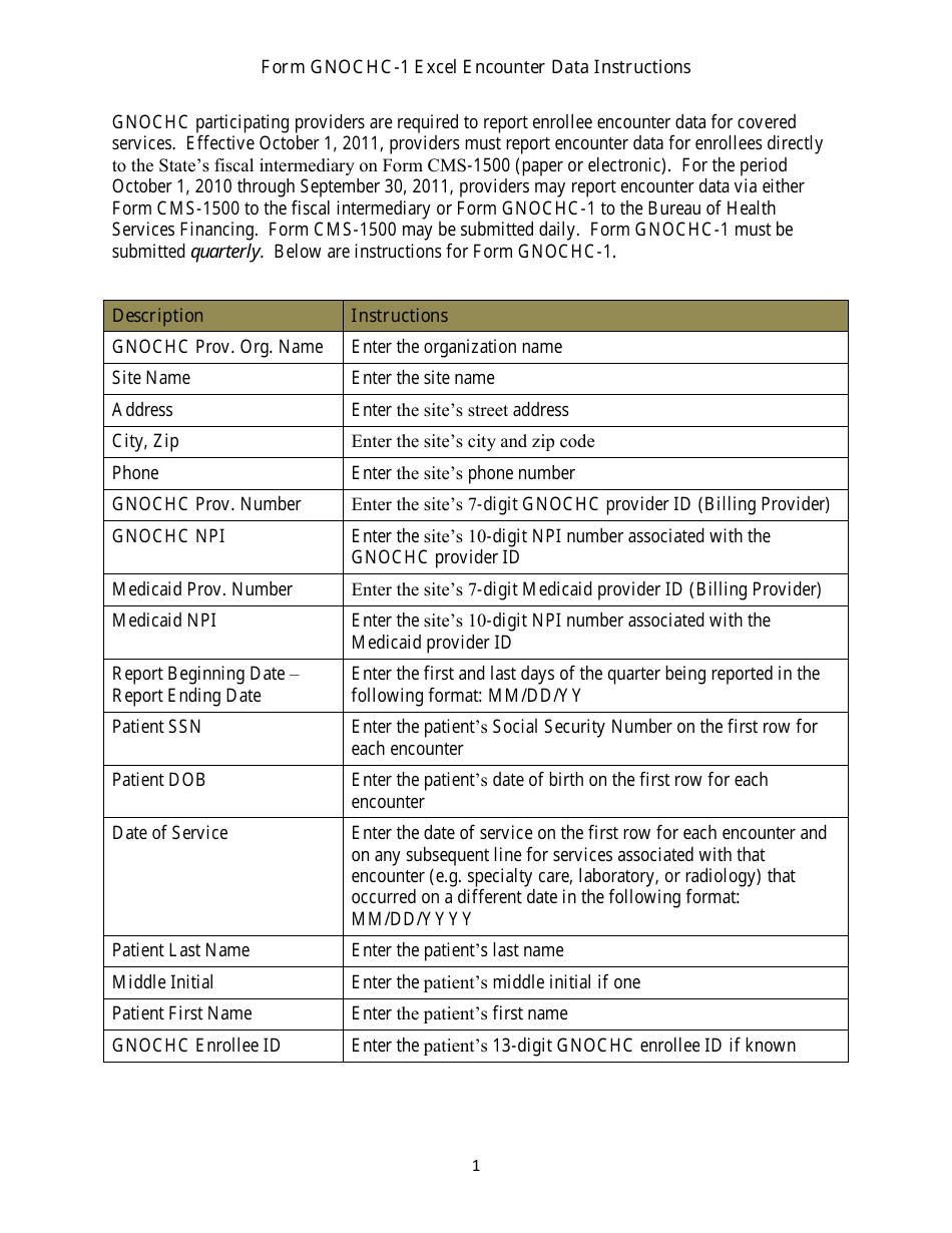 Download Instructions for Form GNOCHC-1 Excel Encounter Data PDF ...